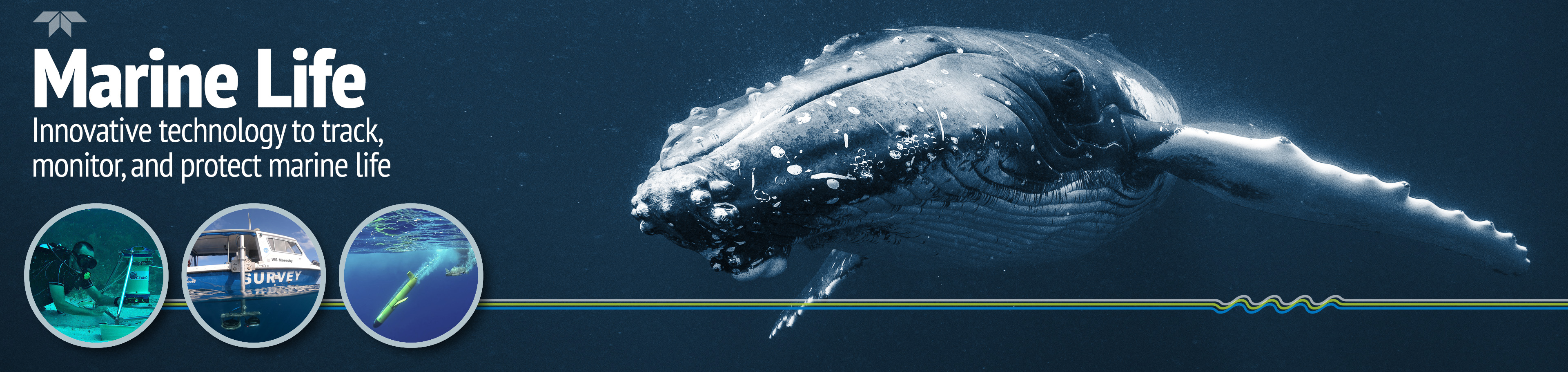 Marine Life Equipment and Technology at Teledyne Marine