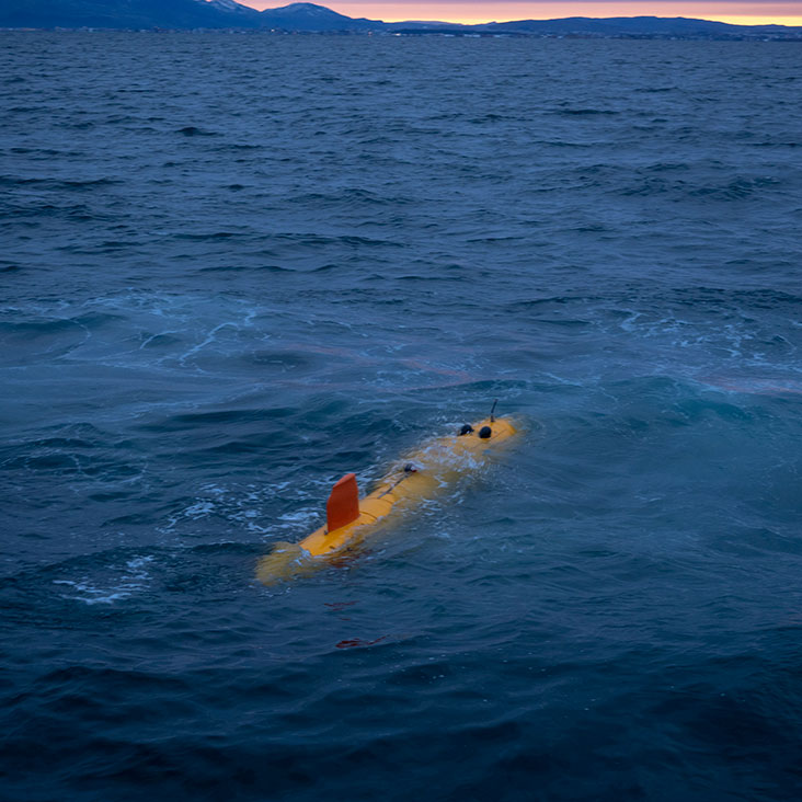 SeaRaptor AUV